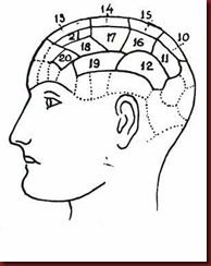Craniologia Dr. Gall 1757 a 1828